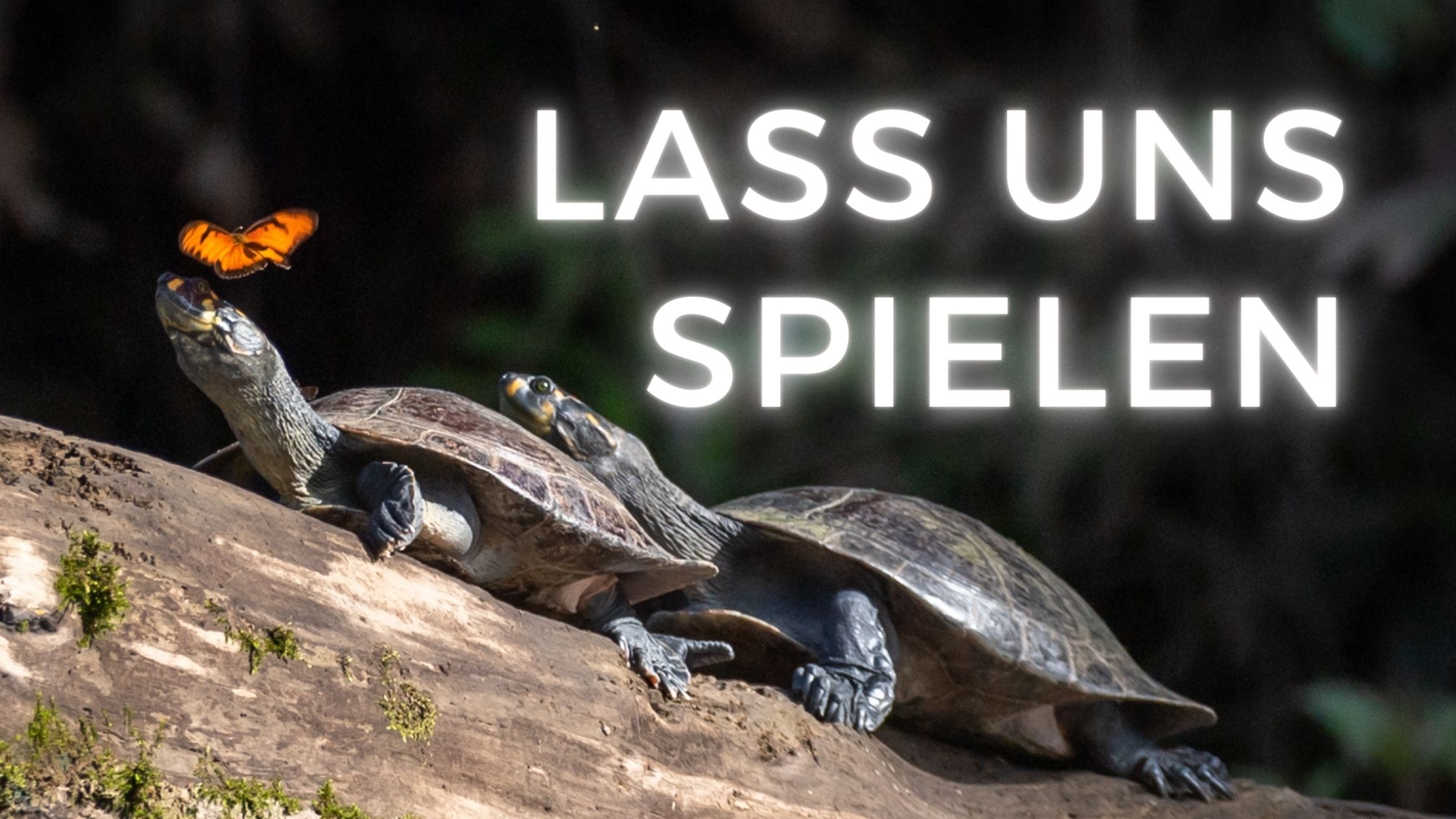 Lass uns Spielen - Simon Rilling