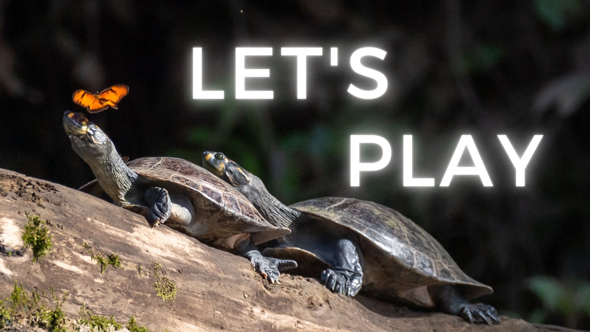 Let's Play - Simon Rilling