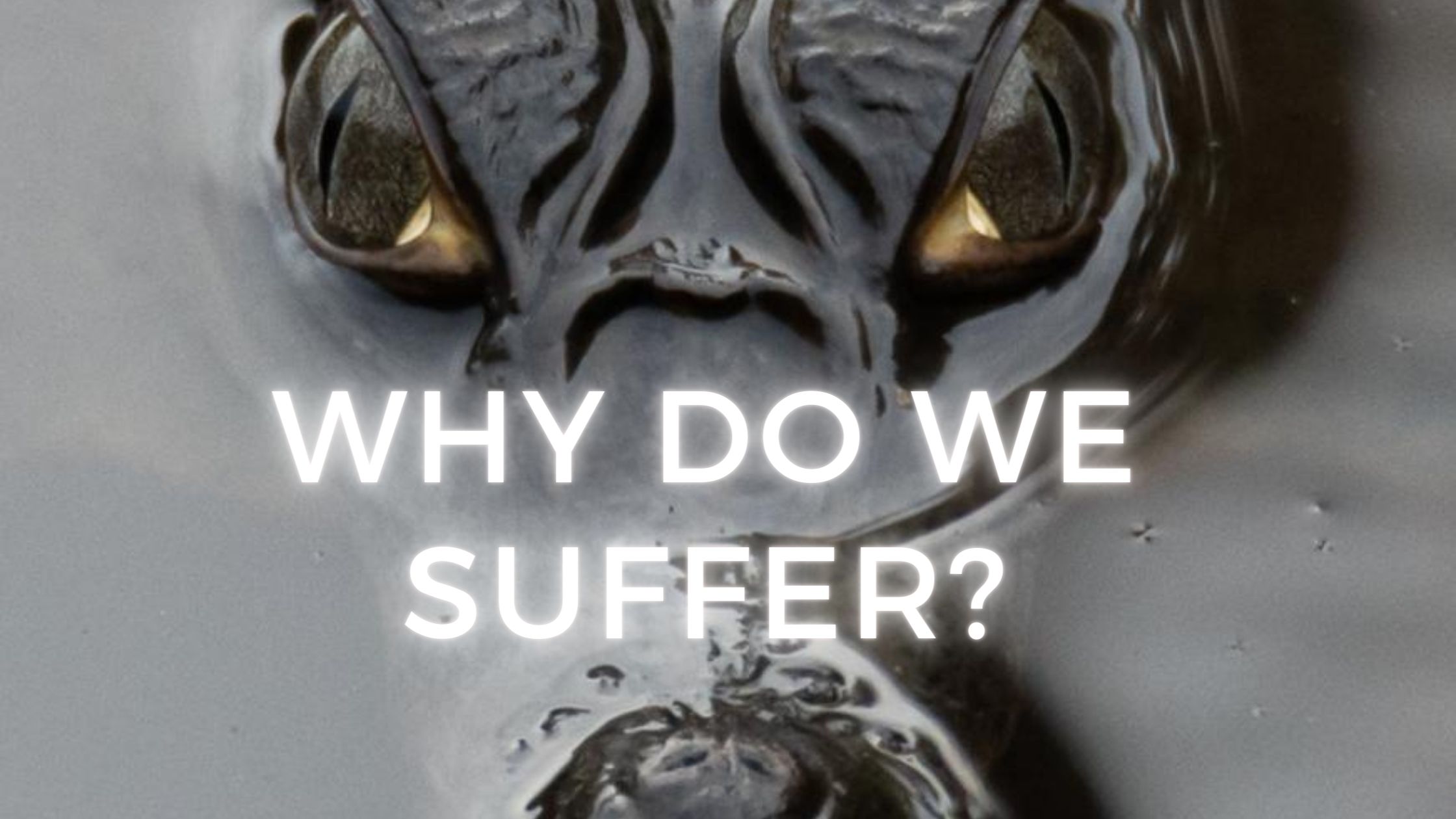 Why do we suffer? - Simon Rilling